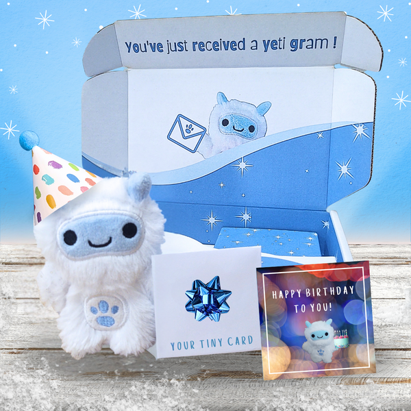 Birthday Party Hat & Bow - Yeti Gram